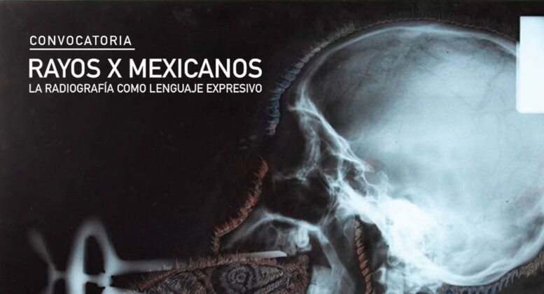 Convocan al concurso “Rayos X Mexicanos” para fusionar arte y ciencia ...